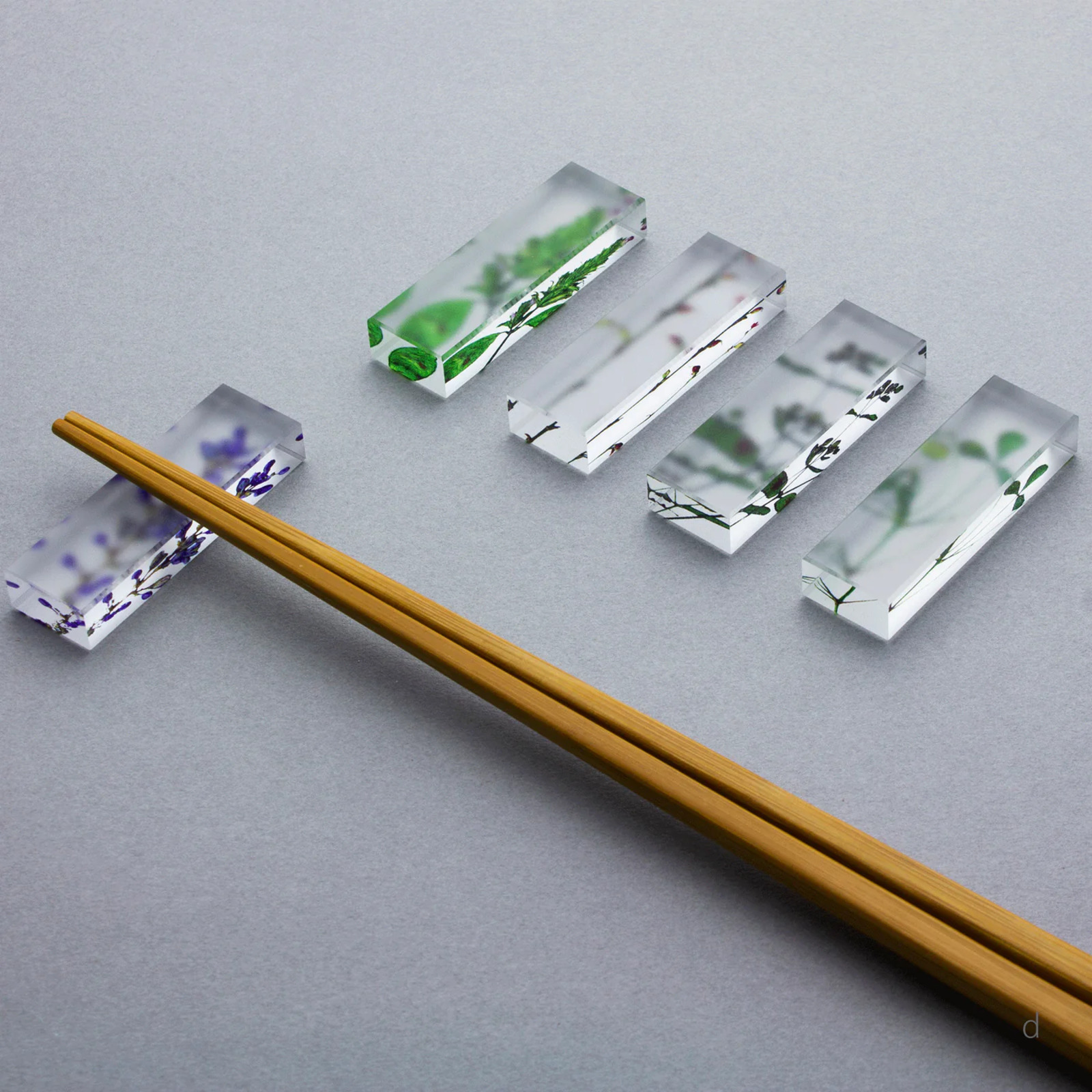 押花 hashioki 木箱入り5個セット | toumei（トウメイ）のプレゼント・ギフト通販 | TANP（タンプ）